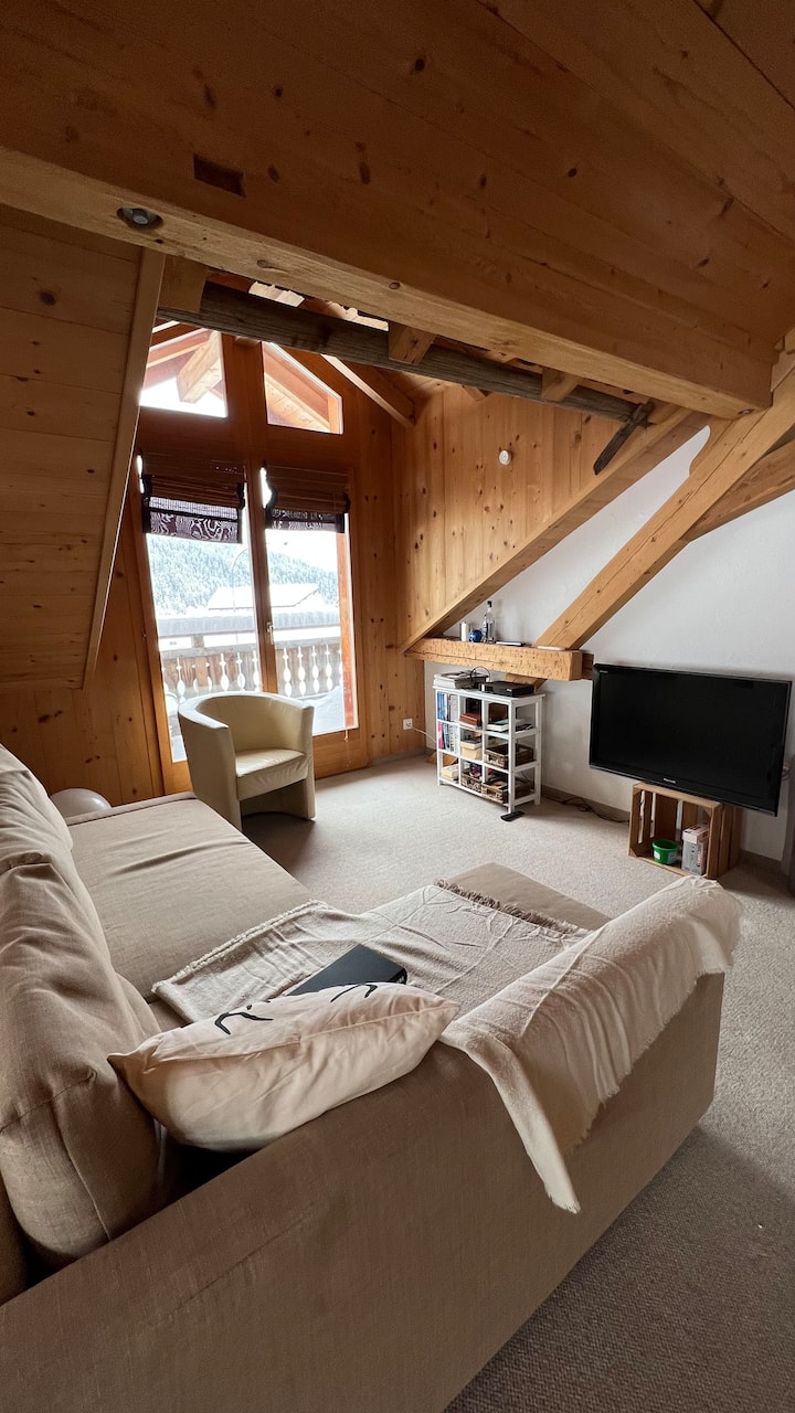 Cozy 2 Bedroom Apartment - Davos