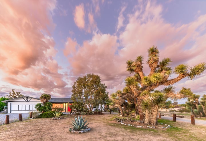 1.5 Acres W/joshua Trees Spa Firepit Games Art Bbq - Yucca Valley, CA