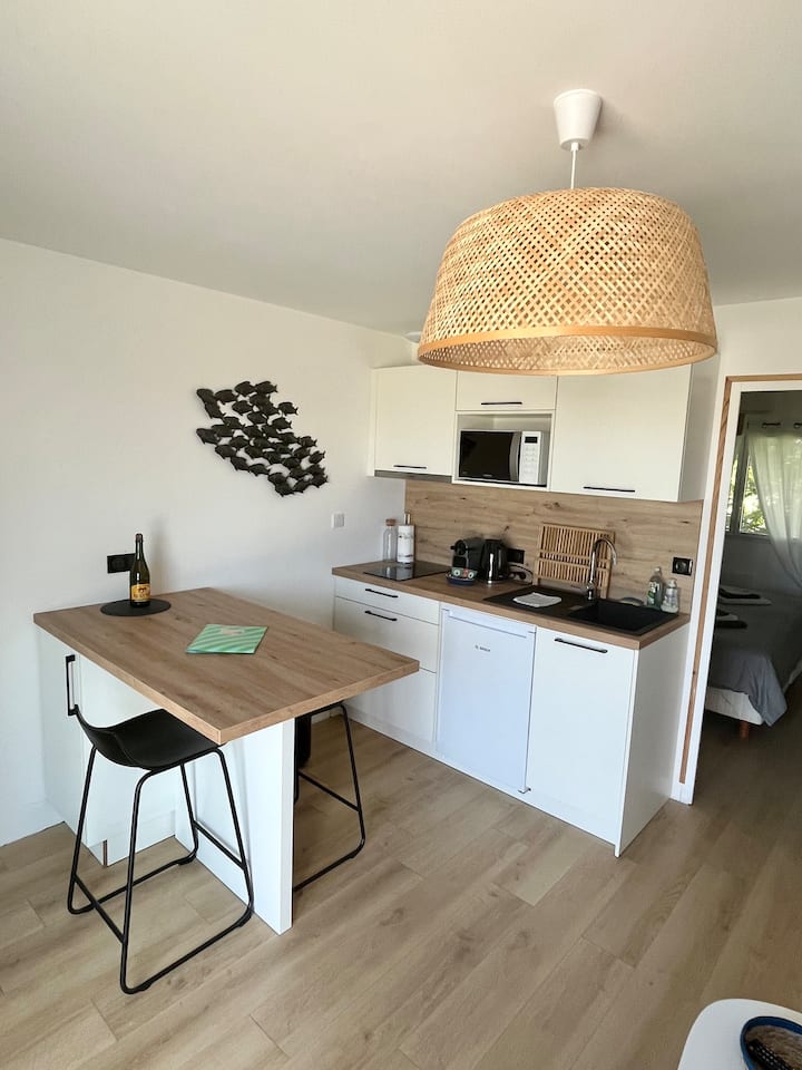 Calme, Vue Mer Et Plage à Pied ! - Plougonvelin