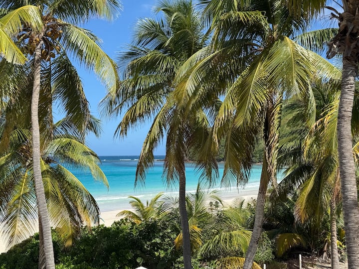 Villa 3 Flamenco Beachfront Villas - Culebra