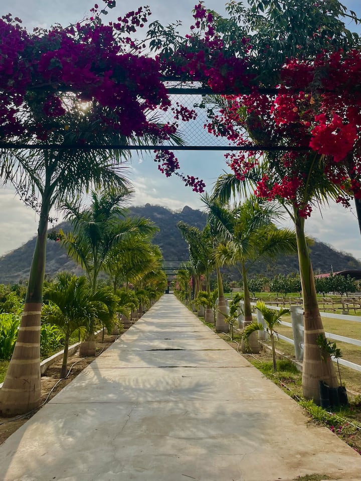 Casa De Campo "Cerro La Vieja" En Motupe - 