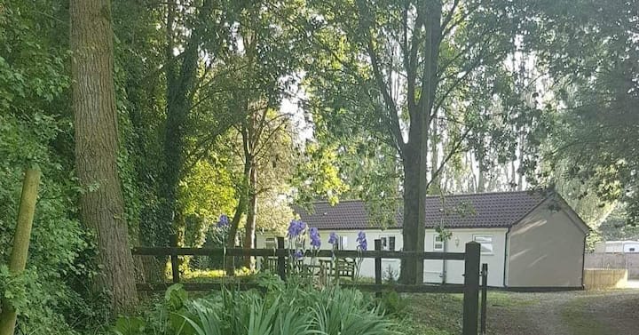 Pine Lodge.
Mid-norfolk Peaceful Retreat. - Dereham