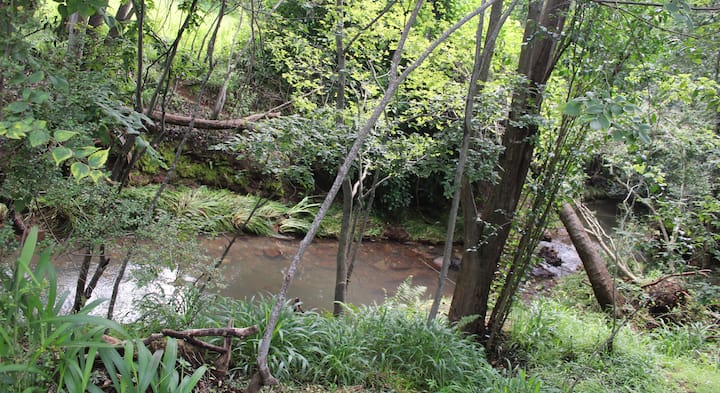 Honey Farm Country Get Away - Hartbeespoort