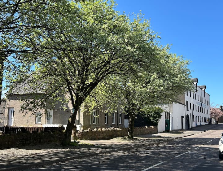 Camisila - イギリス キャンベルタウン