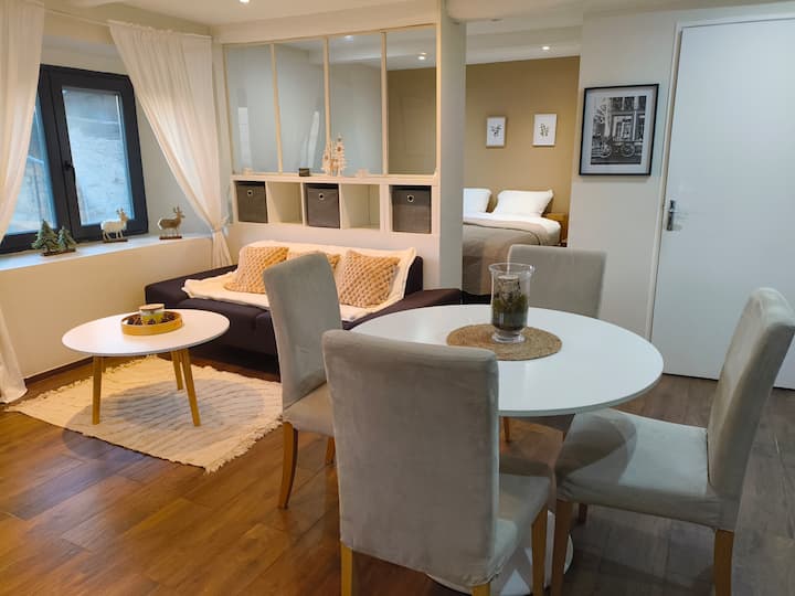 Un Ravissant Studio Savoyard - Albertville