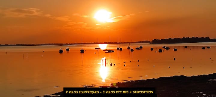 Dans Son Bois Privé à 200 M De La Mer Côté Golfe - Sarzeau