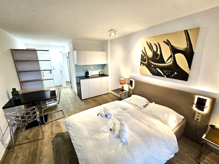 Optimum City View Studio - Canton de Zürich