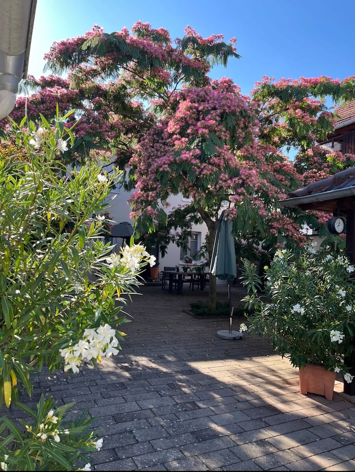 Fachwerkhaus In Der Südpfalz - Kandel