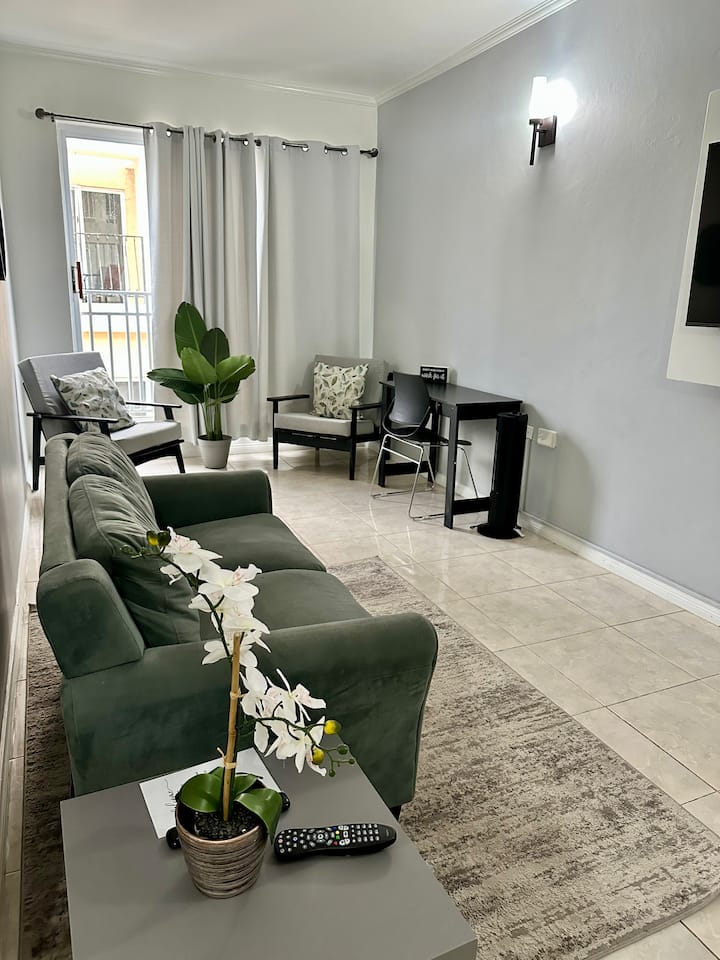 S11 Suite (1br King Bed Apt, Free Parking & Wi-fi) - Kingston