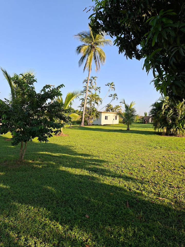 Bungalow 1 - Durango