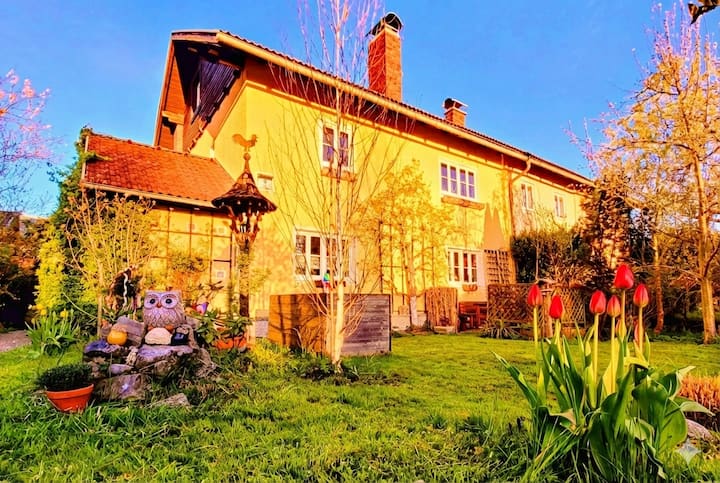 Nature & City: Apartment By The River - Salzburg