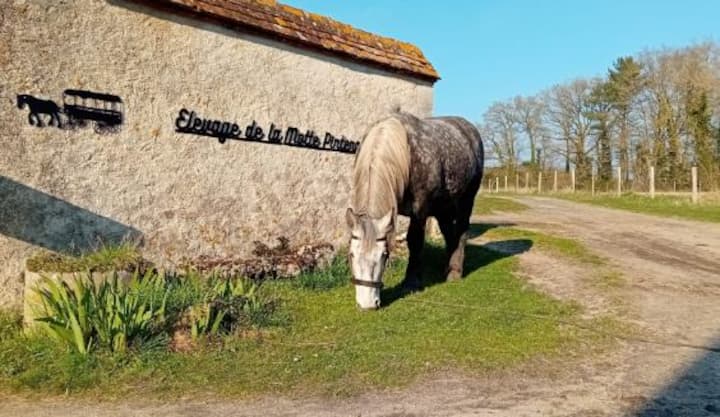 La Bergerie Avec Ferme éQuestre. - Loir-et-Cher