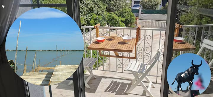 Chez Iris & Patou, F3, Dans Grande Villa Calme - Pérols