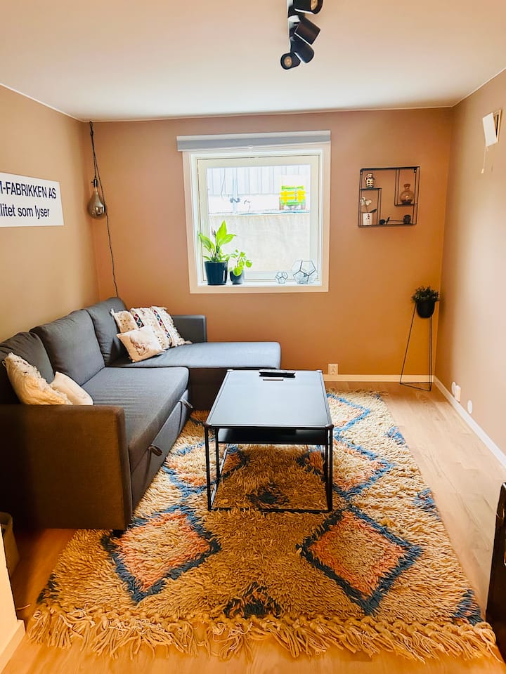 Beautiful Spacious Apartment - Oslo