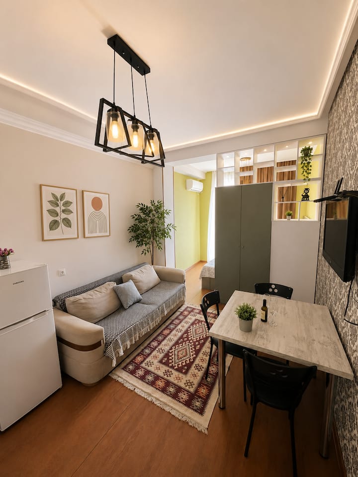 Apartment. Of The City. In The Center - Kutaisi