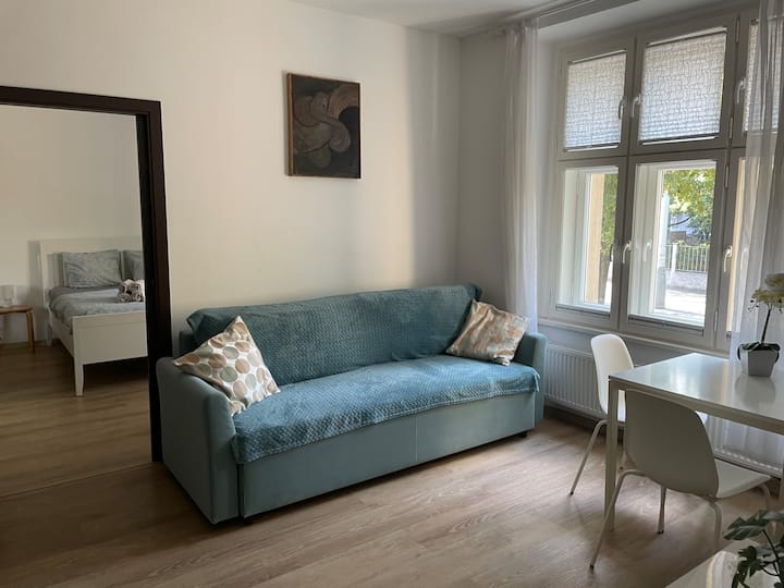 A Cosy Flat In An Ideal Location - Prague