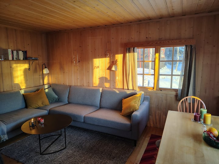 Pålogget Livet, Frakoblet Nettet - Norway
