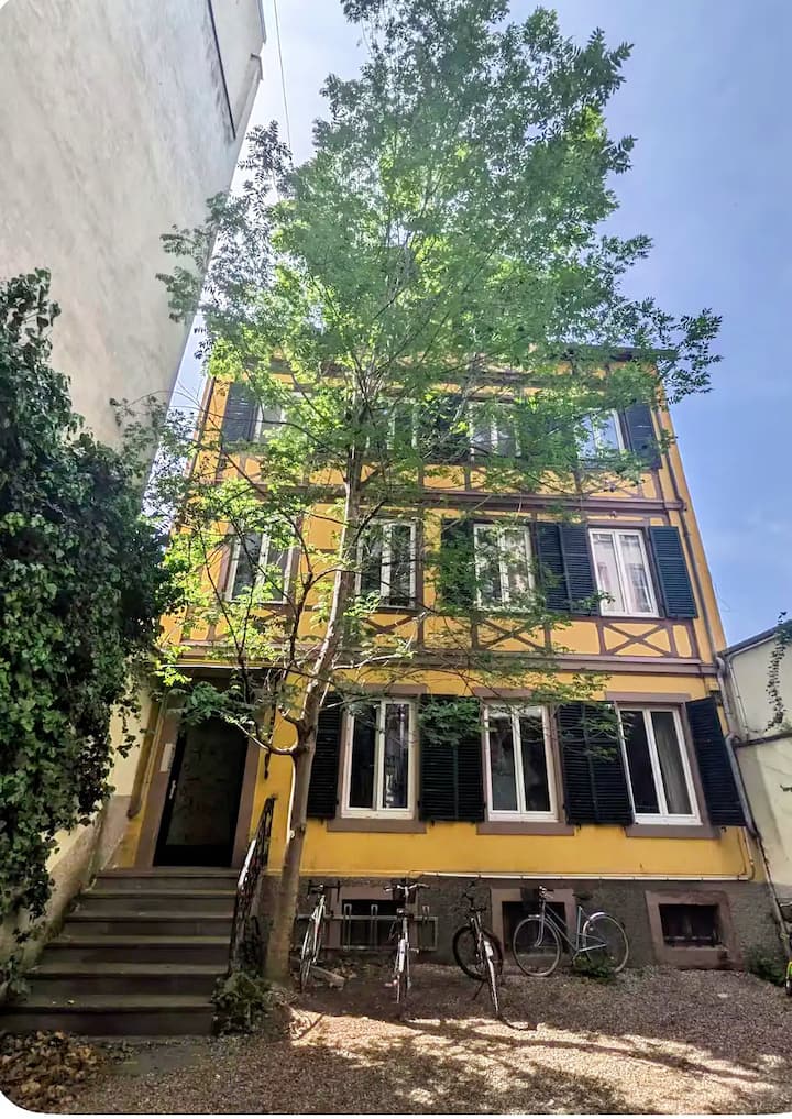 The Yellow House · Cœur Historique · Gare 5 Min - Hôpital de Hautepierre