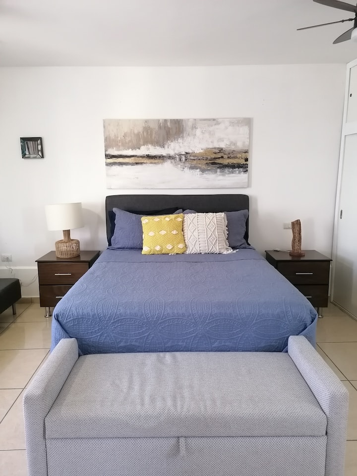 Departamento En El Centro Con Cochera - Aguascalientes