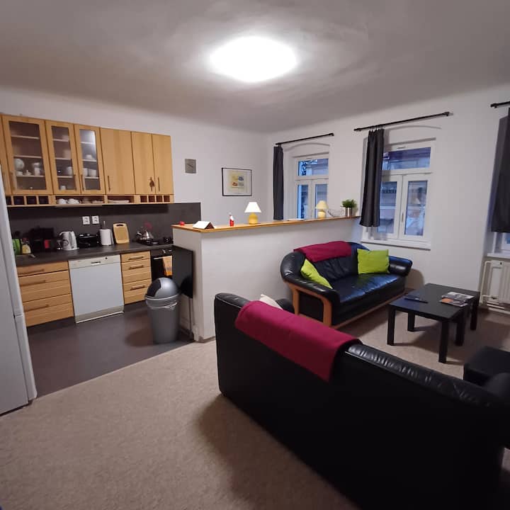 Ap.5 Alice 4 Rooms-300m Centre,forest,free Parking - Karlovy Vary
