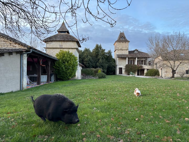 Gîtes Atypiques 12 Personnes Piscine Dans Le Lot. - Lot