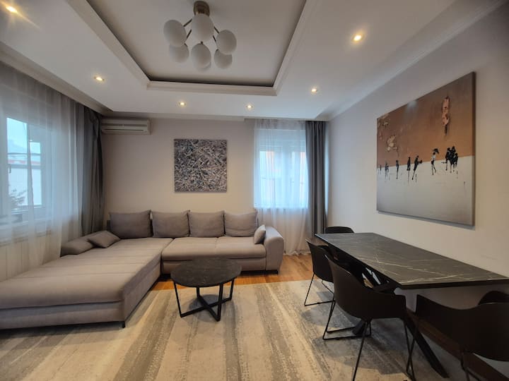 Vracar Large Appartment,child-friendly - Belgrado