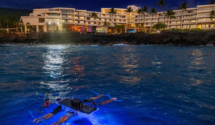 Aloha Oceanview Oasis Suite 2 Rms & Snorkel Gear - Hawaii