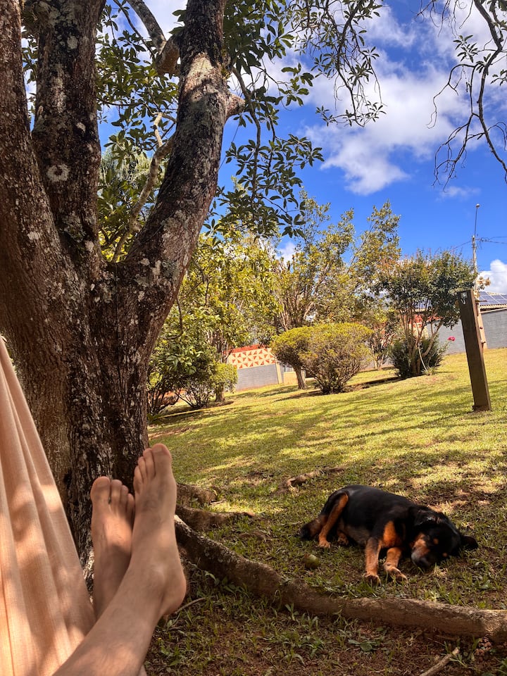 Refúgio Na Rota Do Vinho, Natureza E Pet-friendly - Ibiúna