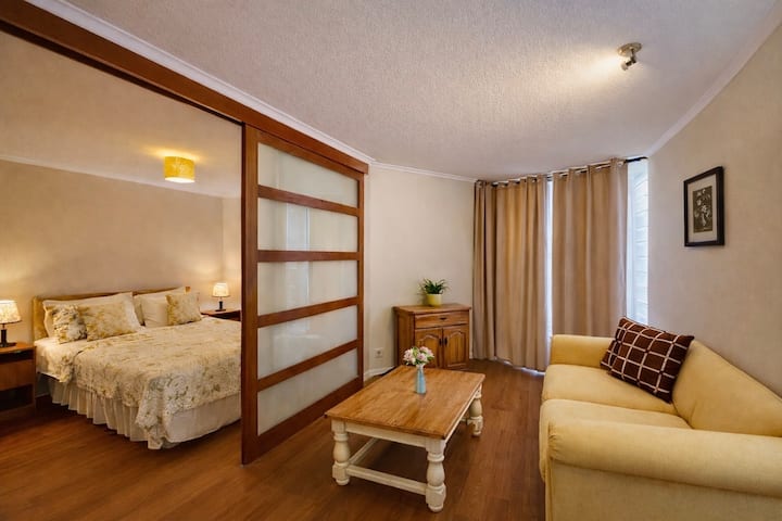 Departamento Centro Histórico Bellas Artes - Santiago