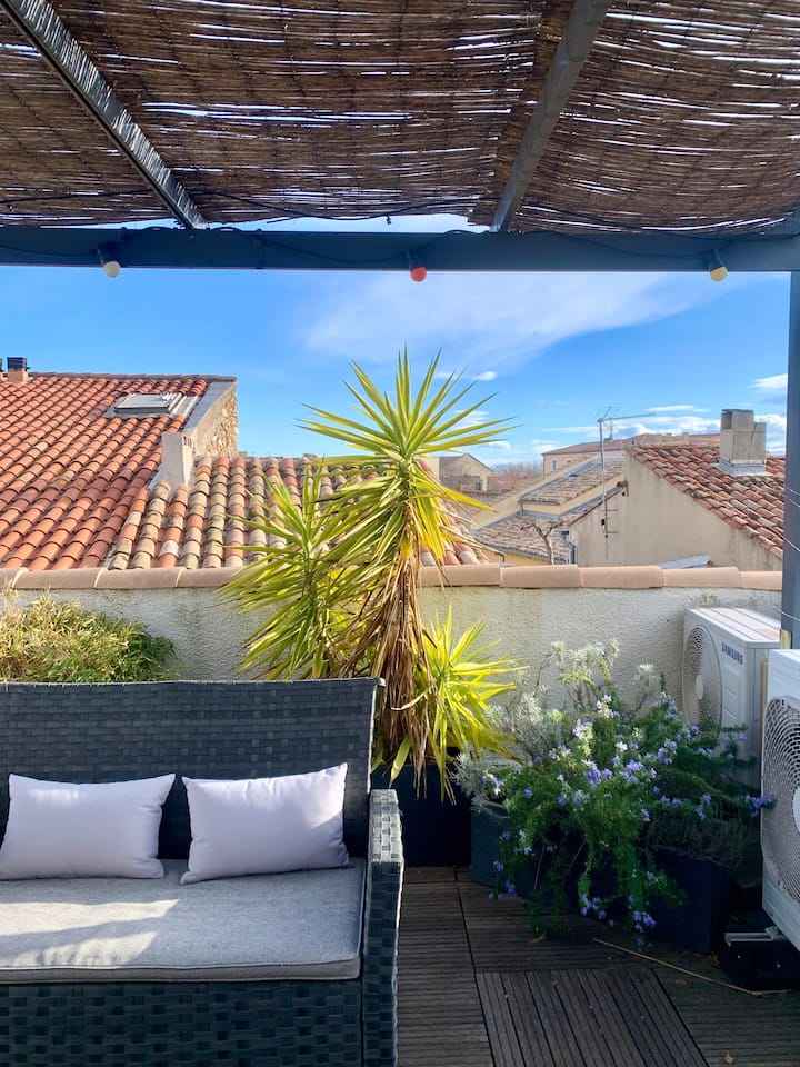 Duplex En Rooftop - Vue Cathédrale - Narbonne