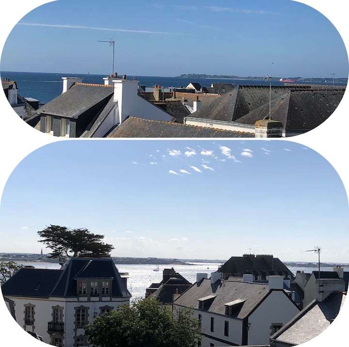 Nid D'amour Sous Les Toits ! - Larmor-Plage