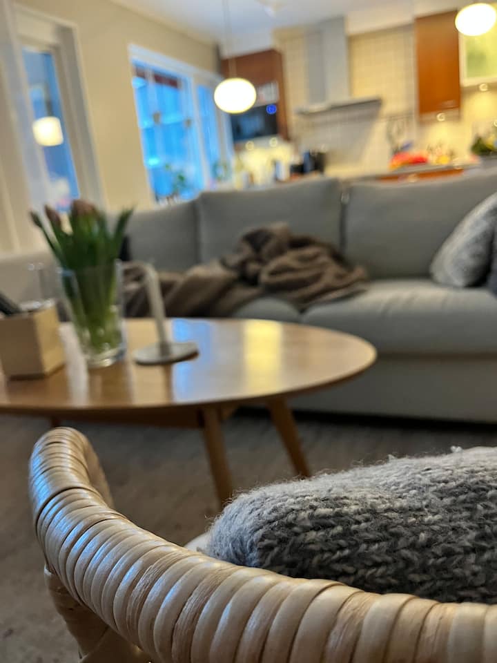 Radhuset I Centrum - Göteborg