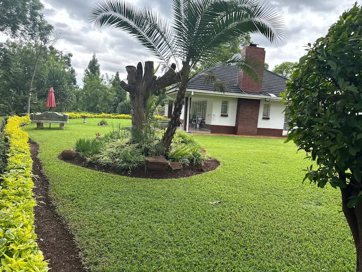 House On A Hill - Harare