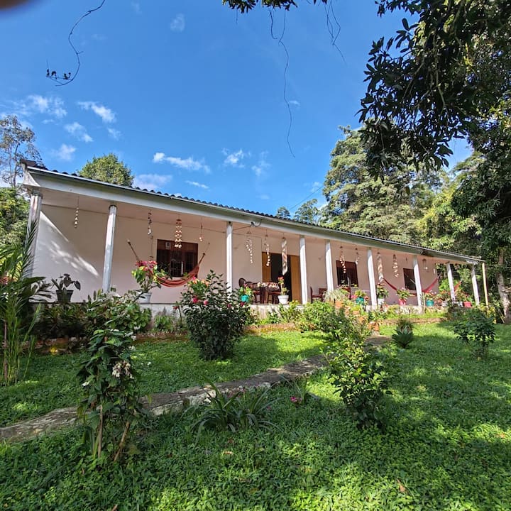 Oasis De Paix Et De Créativité à Mesitas Colombia - La Mesa