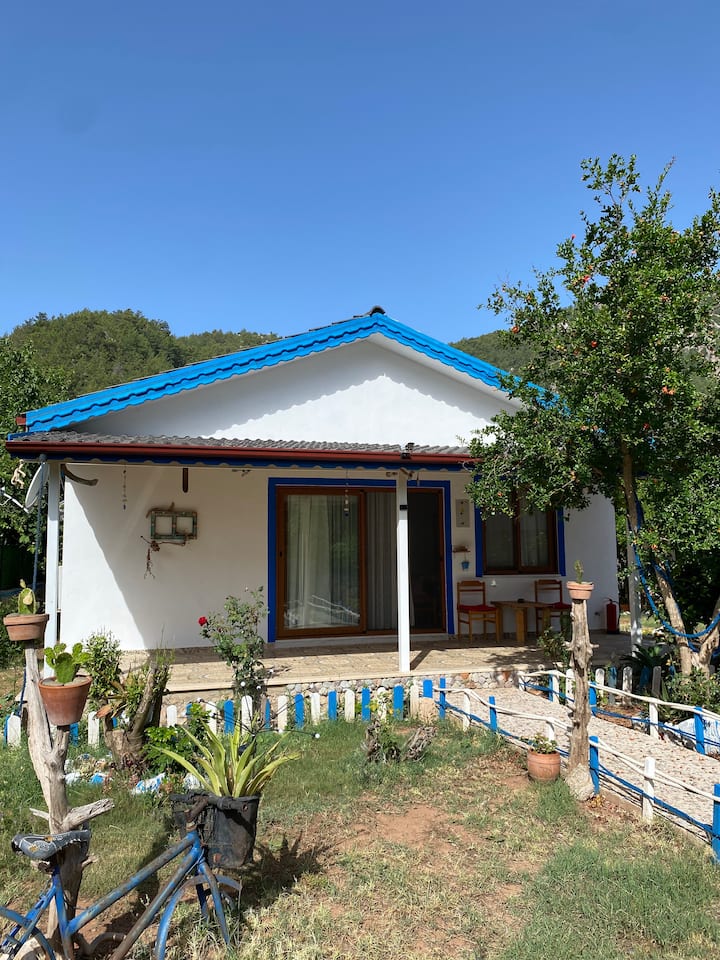 Yadigar - Orhaniye