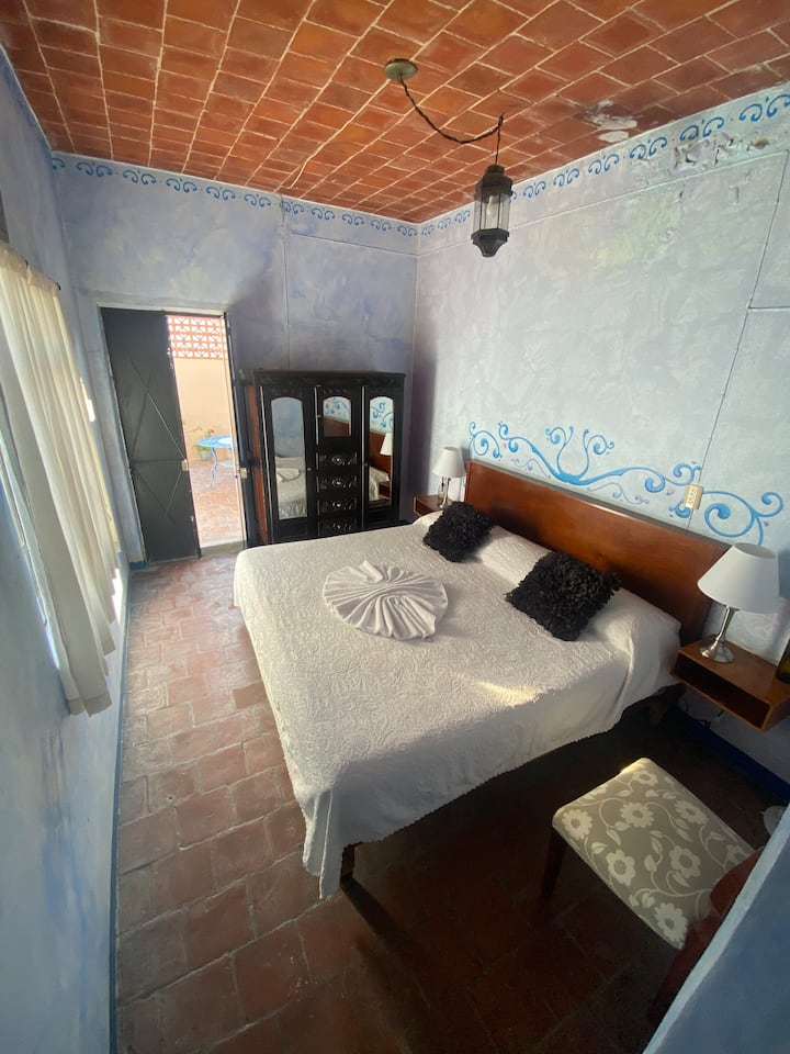 Zona Centro / Habitación Luna Con Terraza - León