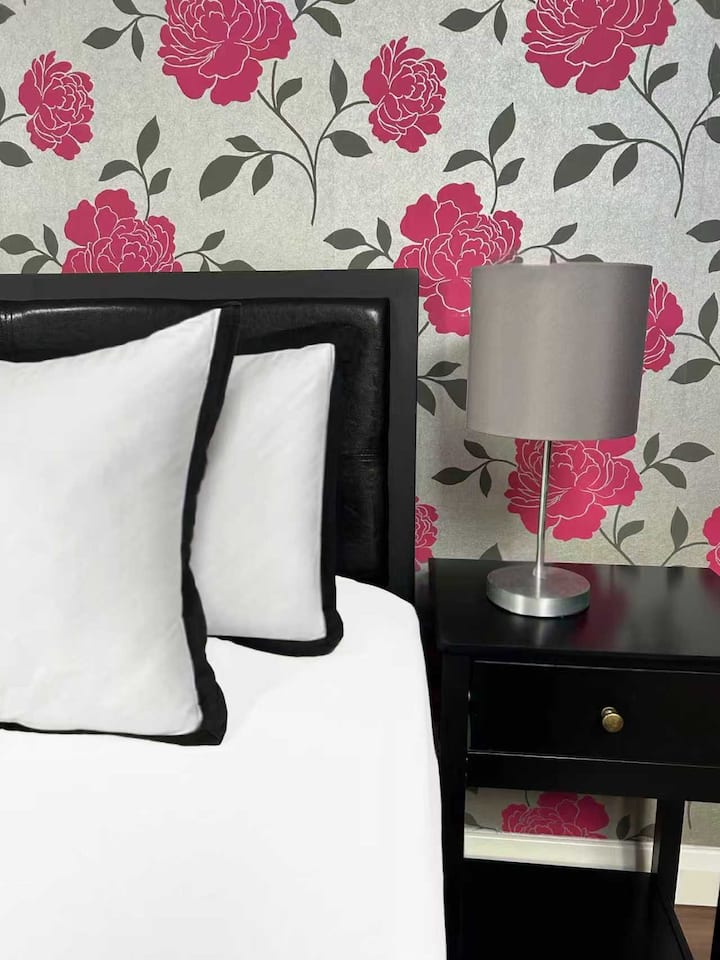 Entire Pinkapt -Free Parking-4 Sleep-close To City - Belfast