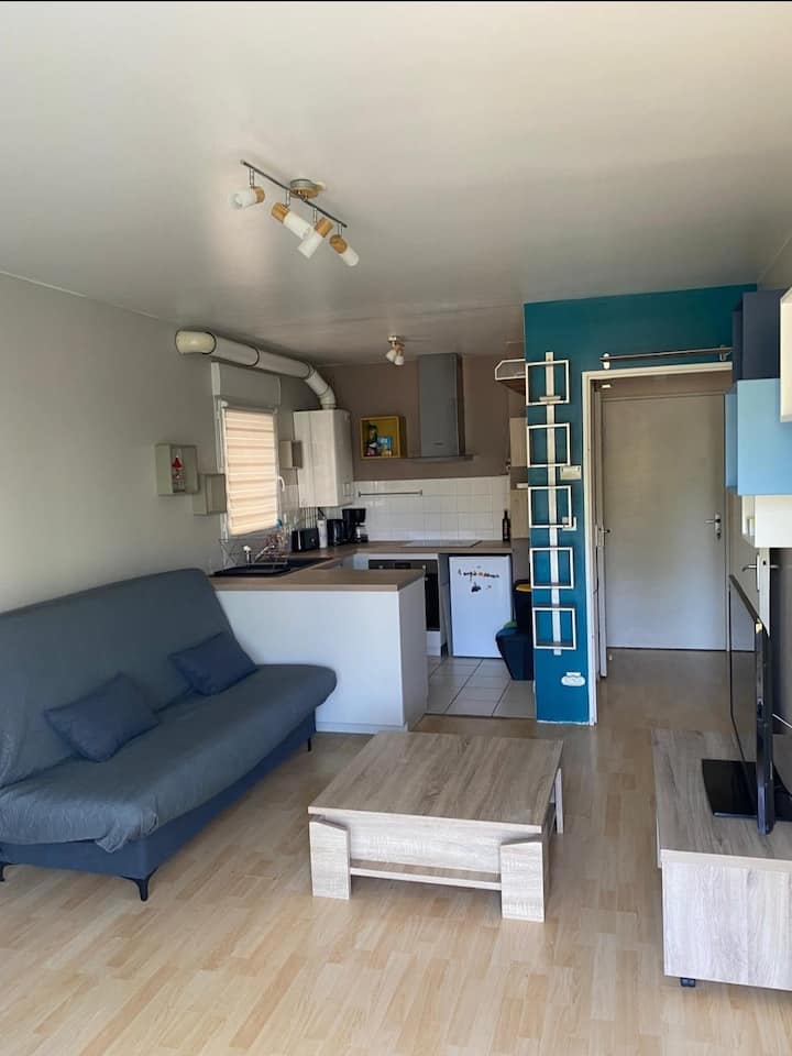 Charmant Appartement Buxerolles - Chasseneuil-du-Poitou