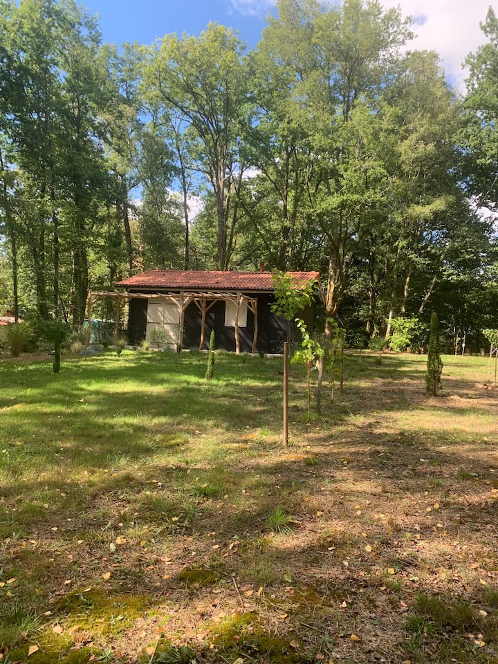 Au Passé Composé, Chalet Climatisé Dans Les Bois - Nontron
