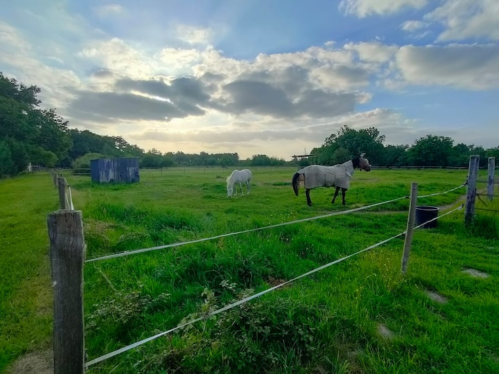 Bienvenue En Sologne Des éTangs - Sologne