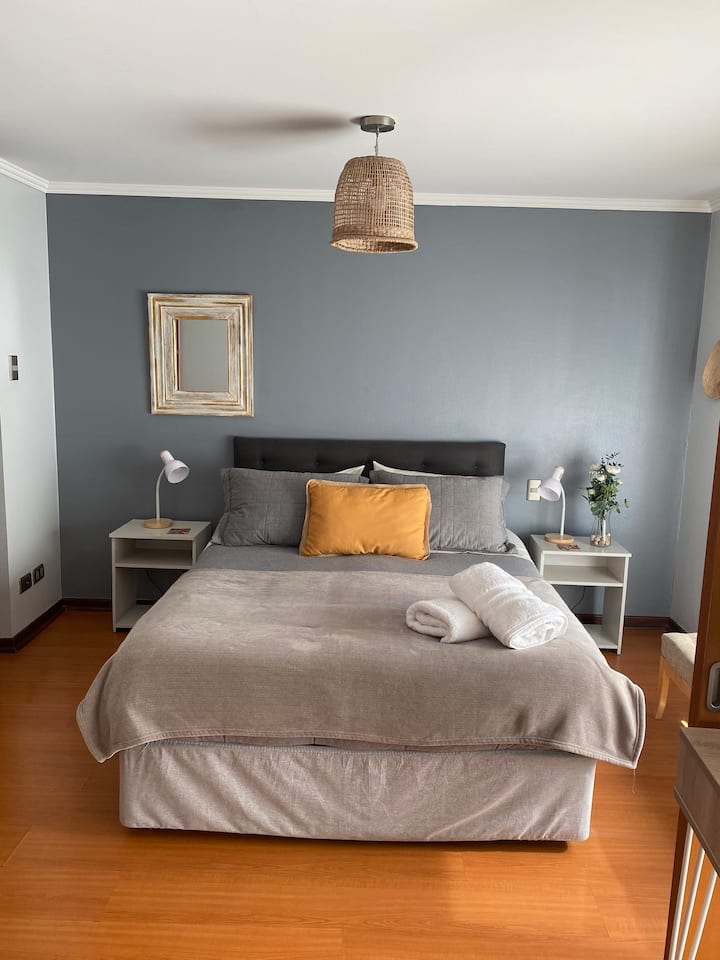Exelente Dpto  Barrio Lastarria - Santiago