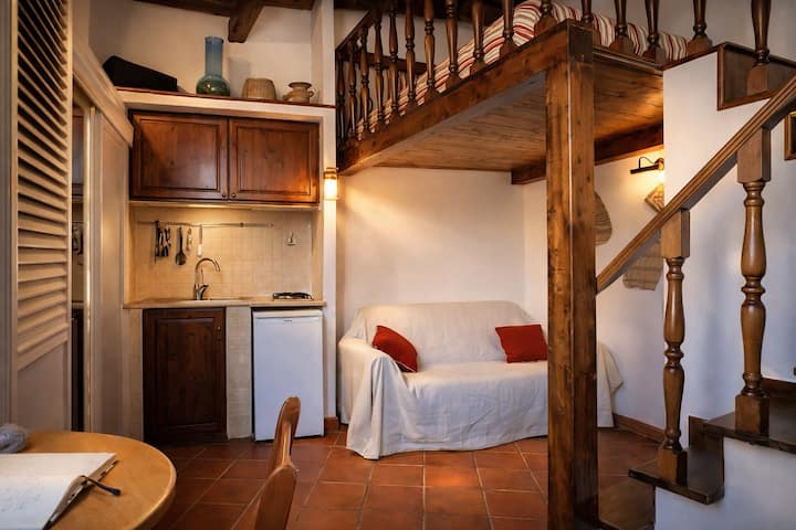 Flat For Experts At Navona/pantheon - Rooma