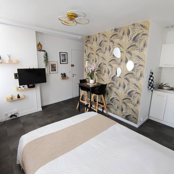 "L'idéal"  -  °Hypercentre° °Netflix° °Projecteur° - Amiens