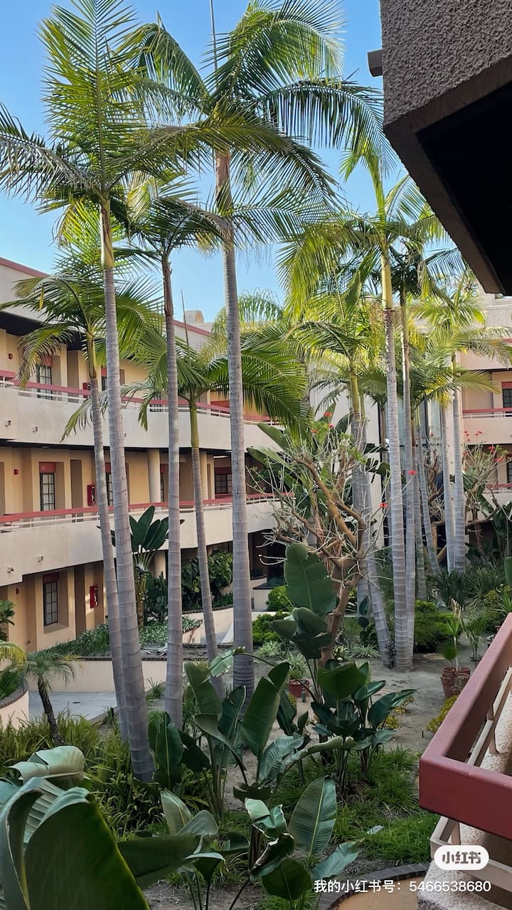 60 Sec To Harbor-ucla: Designer Medical Retreat - Torrance, CA