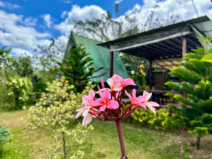 Cabin On A Hill Project Ph - Tanay