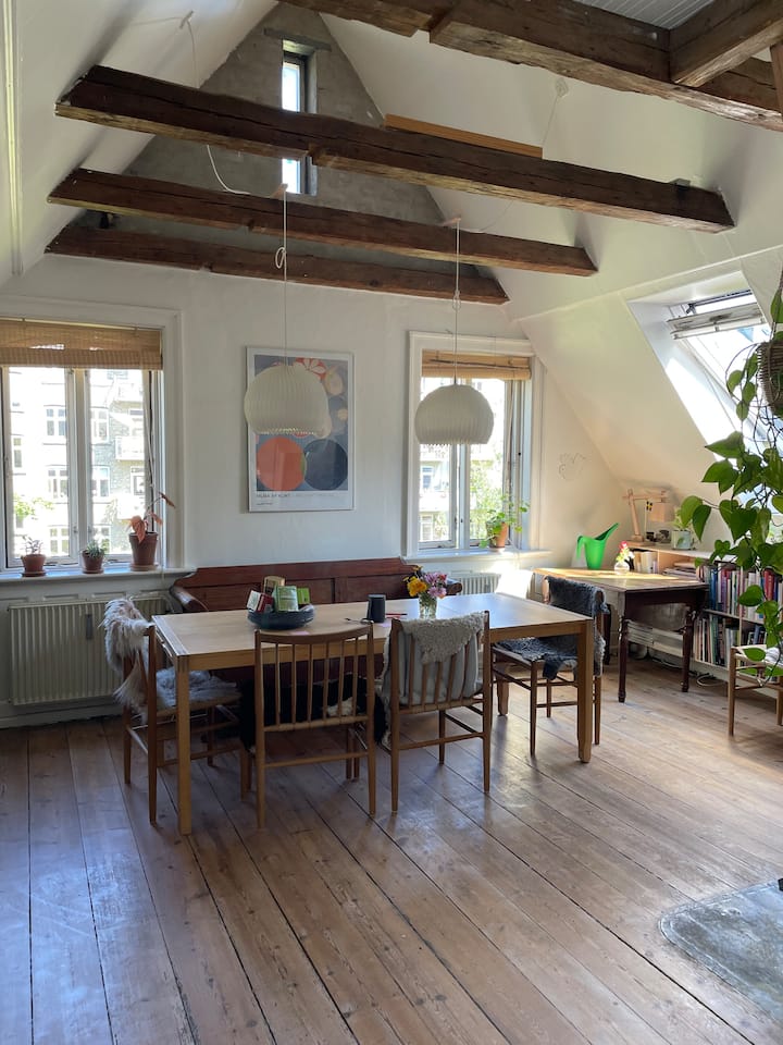 Lovely Bright Scandinavian 5 Bed Apartment - Copenhagen