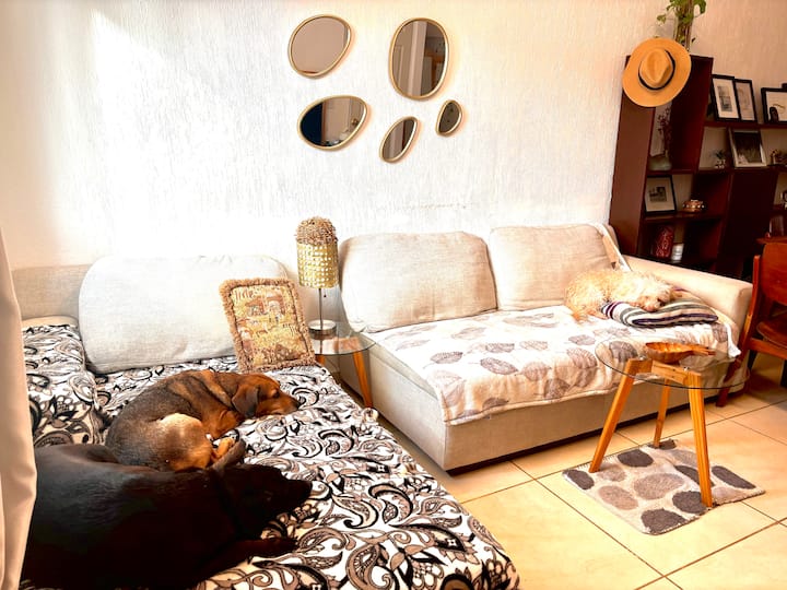 Green Room - Cancún