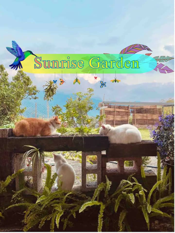 Alishan Nomadic Tribe《風》the Off Line Moment - Alishan Township