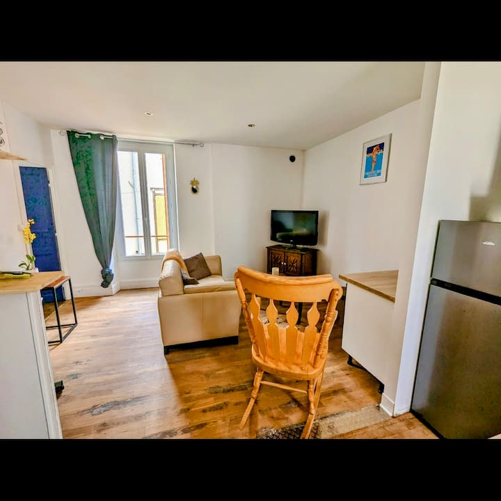 Appartement Cosy Gare/centre Ville - Dijon