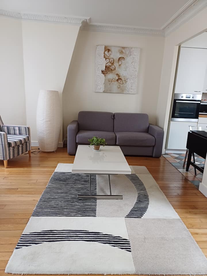Appartement 2 Pièces  Paris 15éme Necker. - ibis Paris Bastille Faubourg St Antoine